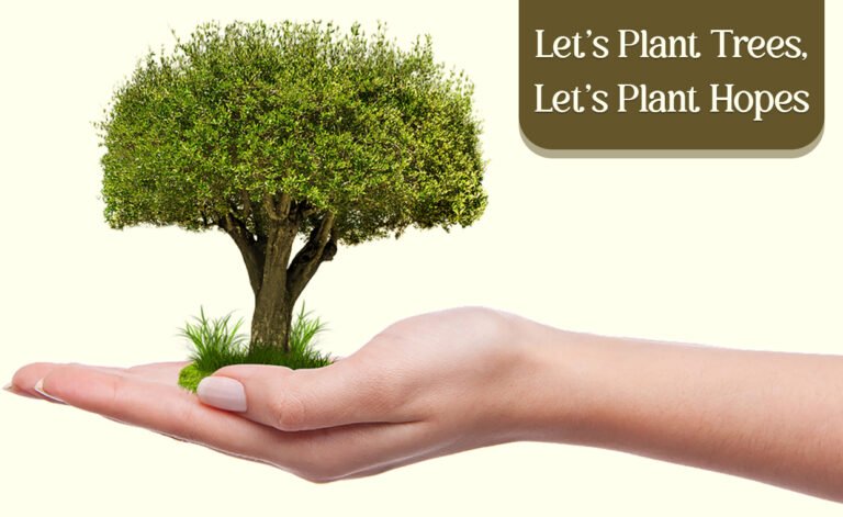 10-ways you can contribute to environmental sustainability - thegreenista