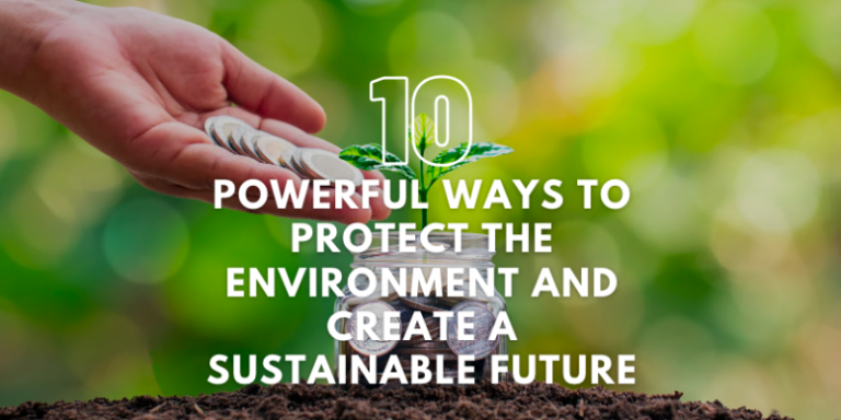 10-ways you can contribute to environmental sustainability - thegreenista
