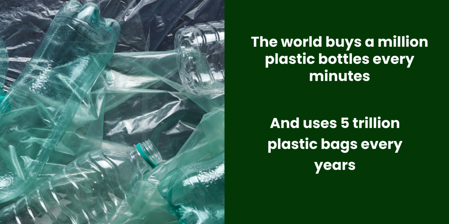 Effects of Plastic Pollution on Human Health