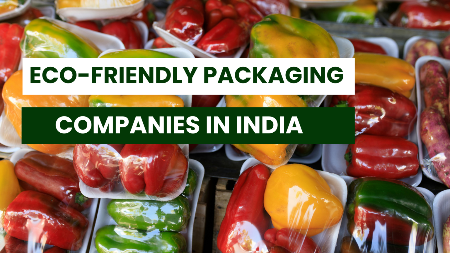 10 Indian Companies Providing Best Eco-friendly Packaging